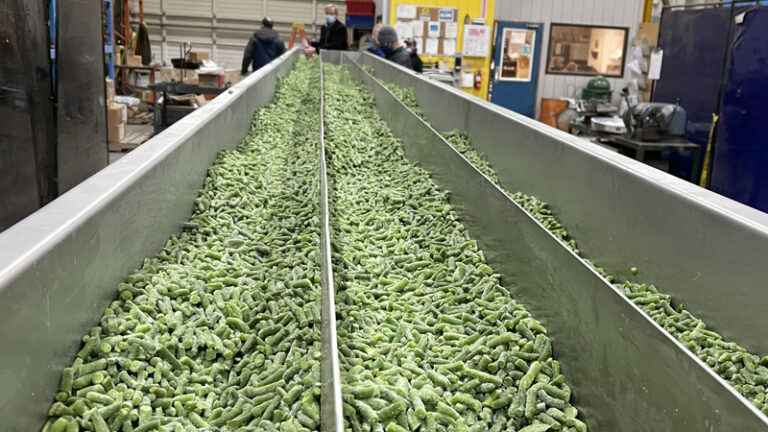 Mega SuperFlow Conveyor - Layton Systems